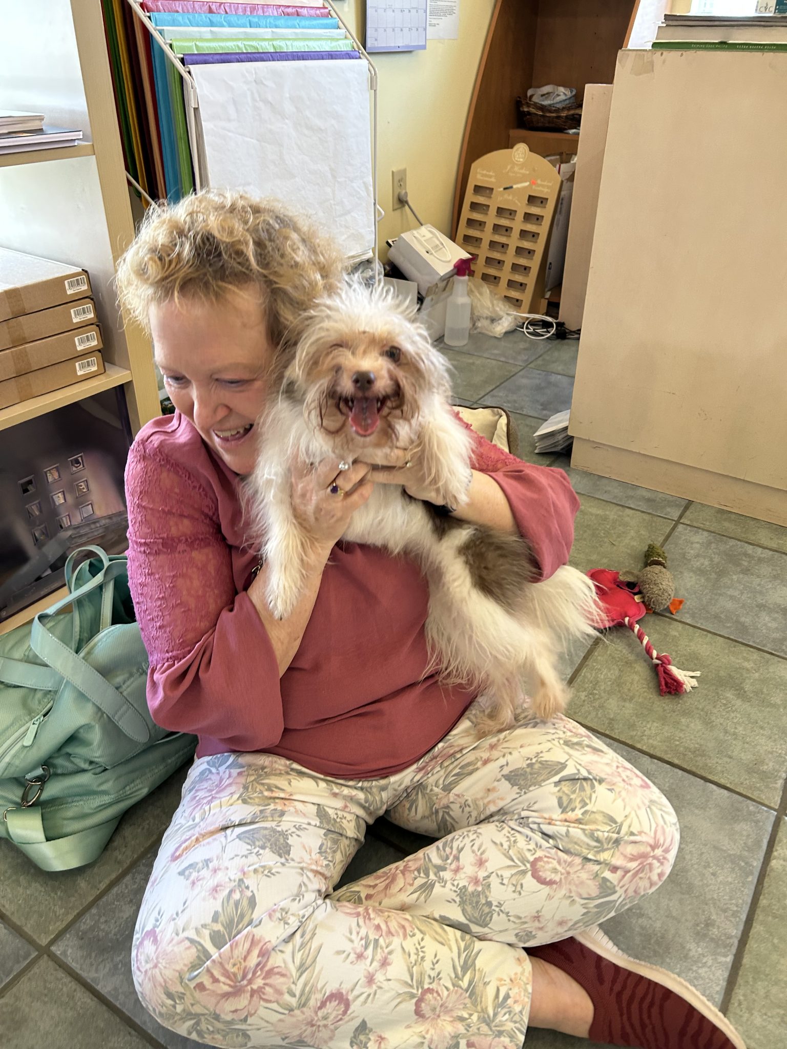 CHLOE THE NEXT GENERATION SHOP DOG